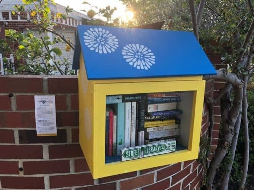 The Lowdown on Street Libraries | Perth Playground